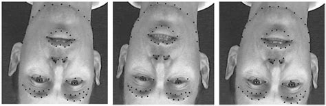 Data Initialisation Download Scientific Diagram