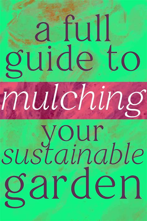 Best Vegetable Garden Mulch Types For Your No Till Organic Garden