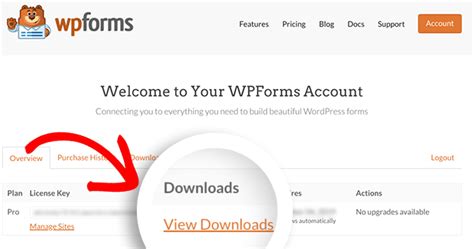 How To Install And Activate The Wpforms Plugin