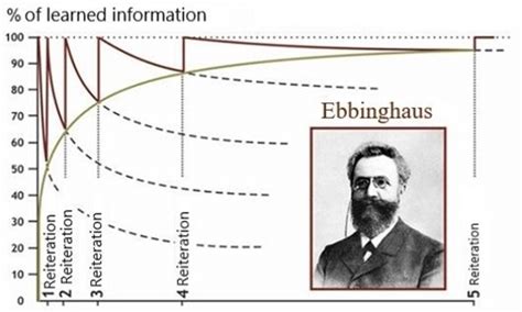 Ebbinghaus Forgetting Curve Download Scientific Diagram