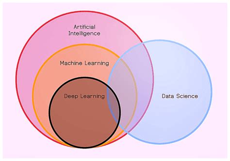 Большой гид по Data Science для начинающих термины применение