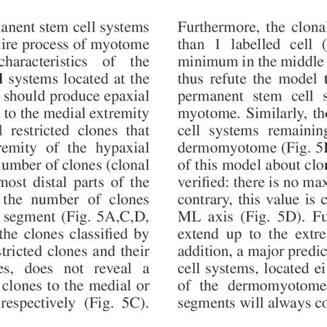 Models For The Spatial Relationship Between Myocytes And Their