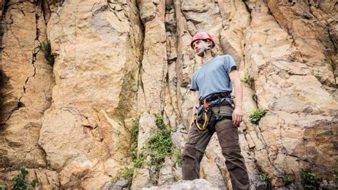 Tree Climbing Equipment That You Should Know About Robert Harwood Trading Ltd