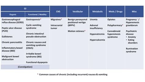 Helpful Guide To Understanding Common Causes Of Nausea And Vomiting And