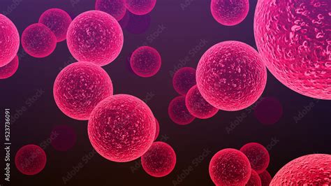 Streptococcus Bacteria Streptococcus Species Are Responsible For