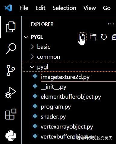 用Python和OpenGL探索数据可视化基础篇 完善pygl增加OpenGL二维纹理对象 知乎