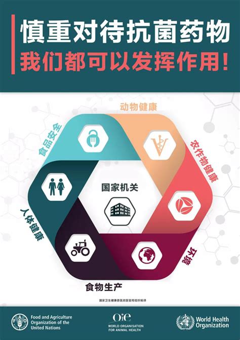 科普合理使用抗菌药物 海南信息港