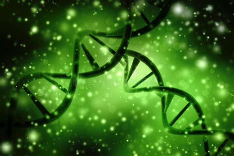 Concept Of Biochemistry With Dna Molecule Isolated In Medical Background 3d Rendering Stock