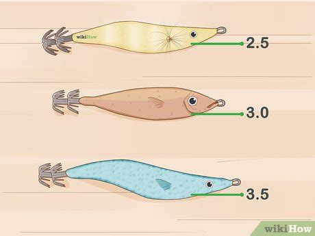 How To Fish For Squid Steps With Pictures WikiHow