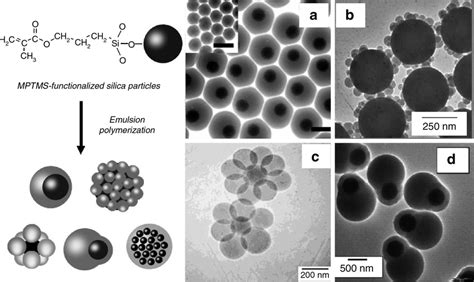 Left Silica Polystyrene Composite Particles Elaborated Through Download Scientific Diagram