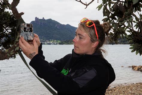 Embedded Research Expressions Of Interest Sought Predator Free 2050