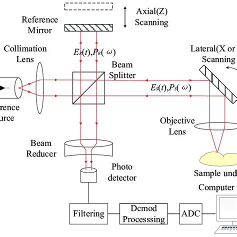 Schematic Diagram Of Optical Coherence Tomography System Working