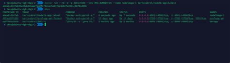 load balancing a node js application with nginx