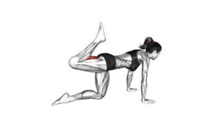 Dumbbell Lying Hamstring Curl Female Exercise Guide Tips
