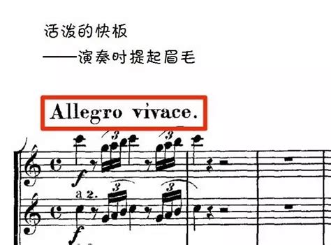 非专业乐谱符号术语图解