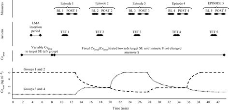 Time Course Of The Study Protocol Showing Induction Period Download Scientific Diagram