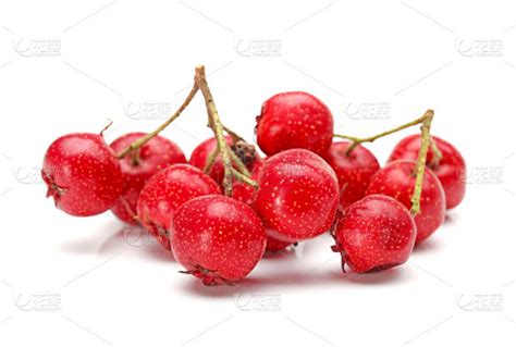 白色背景的山楂