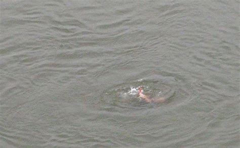 დედა შვილის თვითმკვლელობას შეჰყურებდა მაგრამ ვერაფერს შველოდა