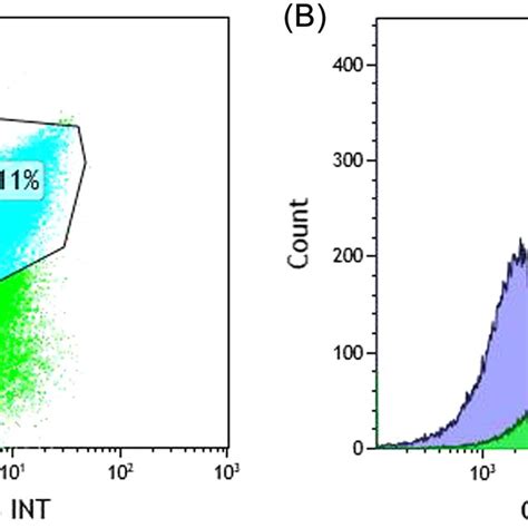 Exemplary Thrombelastrogram With Rotem Extem Assay For Pneumatic Tube Download Scientific
