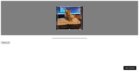 Vue Croppie Examples Codesandbox