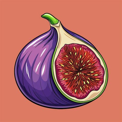 Vector Design Of Fig Fruit Premium AI Generated Vector