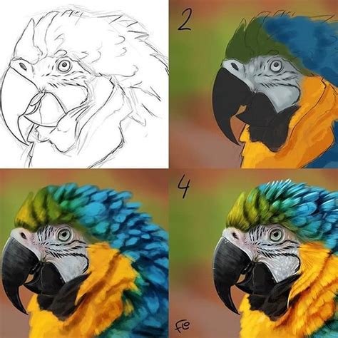 Art With Flo Is Creating Digital Art Tutorials For Procreate Artofit