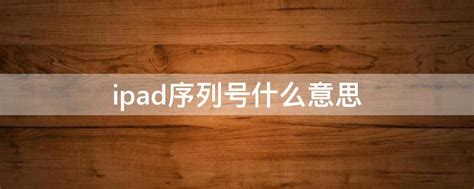 ipad序列号什么意思 业百科