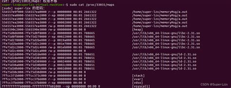 打印进程的虚拟地址空间编写一个内核模块打印进程的虚存区 Csdn博客 打印进程的虚拟地址空间编写一个内核模块打印进程的虚存区 Csdn博客