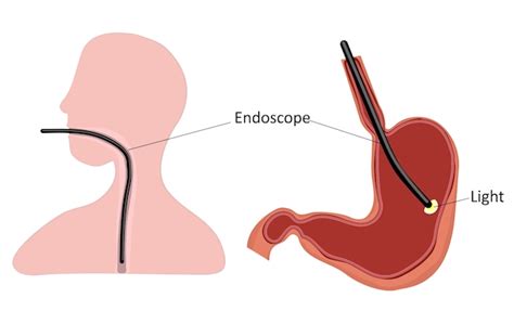 How To Use Internet Graphics In Your Book Medical Illustrations