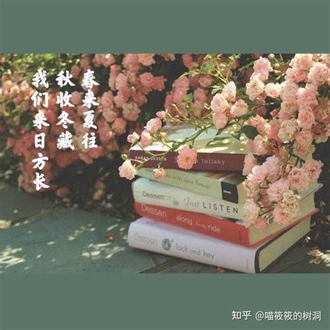 温暖系列语录你最喜欢哪一句 知乎