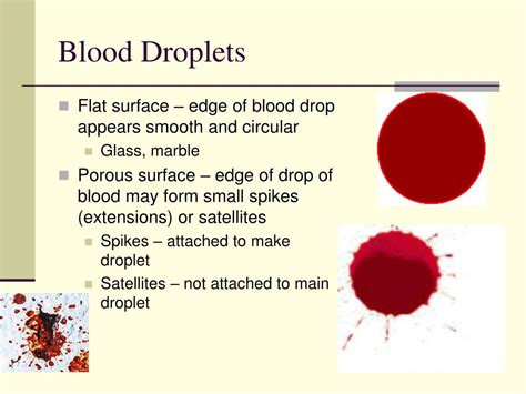 Ppt Blood Splatter Analysis Powerpoint Presentation Free Download