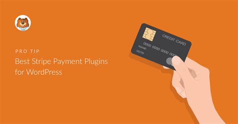 Stripe Wordpress The Best Stripe Payment Plugins For 2024