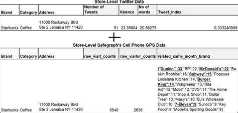 Partial List Of Store Level Variables From Twitter And Safegraph Gps