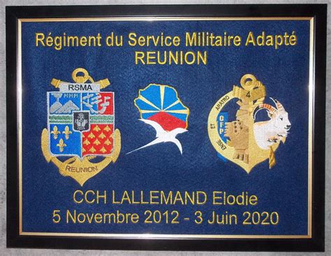 Broderie A3 Avec Deux Insignes Rsma