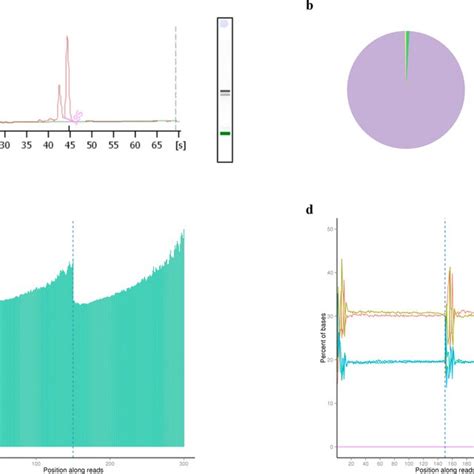 Quality Data Filtering In A Representative Sample A Electropherogram