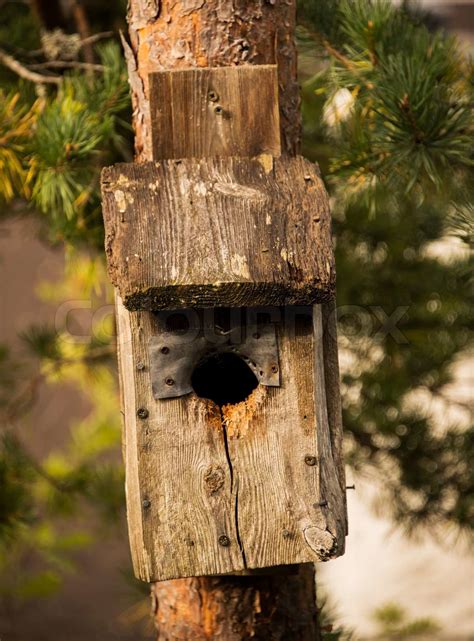 Old Nesting Box Stock Image Colourbox