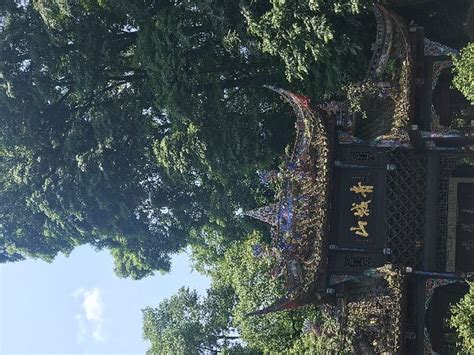 2023非常好，没有任何购物，朱导游还是非常耐心的，各种细心提醒！行程安排的也不错，不赶！午餐很棒，没吃完青城山 评论 去哪儿攻略