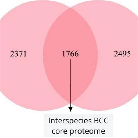Circular Genome Representation Of Human Bcc Strains Via Patric Server