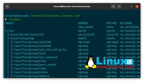 linux 中列出挂载驱动器的 4 个命令 linux迷