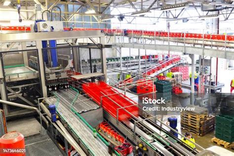 식품 산업의 현대 공장 맥주 양조장 맥주 병 및 생산을위한 기계가있는 컨베이어 벨트 제조에 대한 스톡 사진 및 기타 이미지 제조 0명 건축 Istock