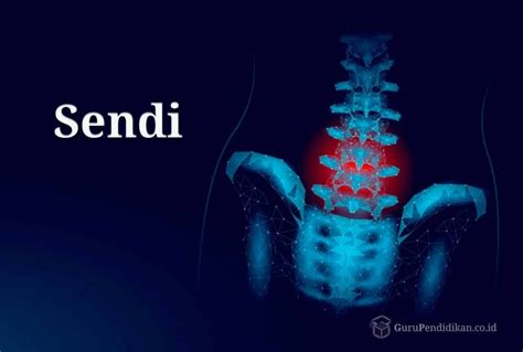 Pengertian Sendi Fungsi Macam Struktur Dan Klasifikasi Hack Ac Id Informasi Maupun Berita
