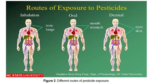 International Journal Of Research And Development In Pharmacy And Life