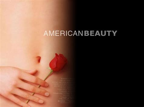 American Beauty American Beauty Wallpaper 67905 Fanpop