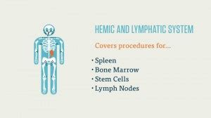 What Is The CPC Exam