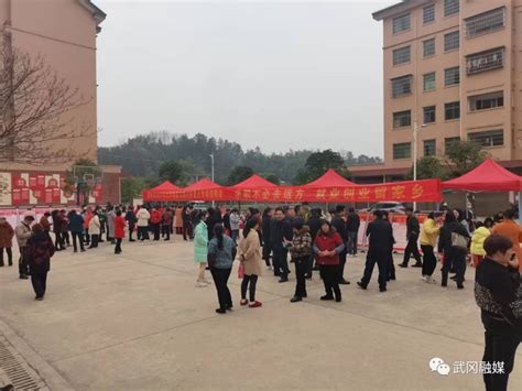 游三峡水库武冈人网