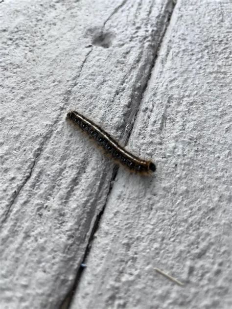 Discover More Like Fishing Bait Or Not And Related Content Scrolller