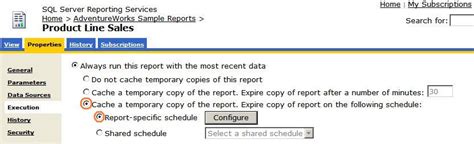 Ssrs Improve Performance By Automating Report Caching Using Null Delivery Provider Softartisans