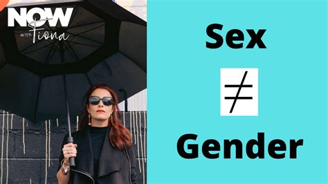 Explainer Videos — Free Lion Productions Explainer Videos — Free Lion Productions