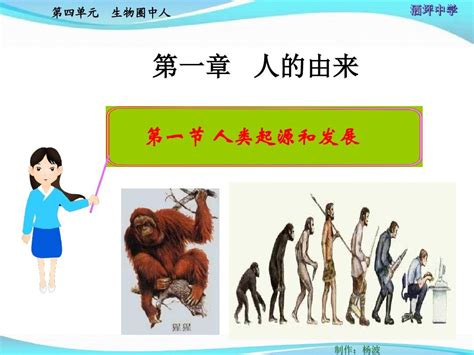 1 1人类的起源和发展 Word文档免费下载 亿佰文档网