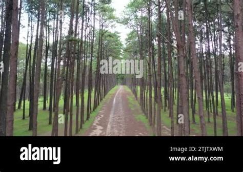 Tidy Lines Stock Videos And Footage Hd And 4k Video Clips Alamy